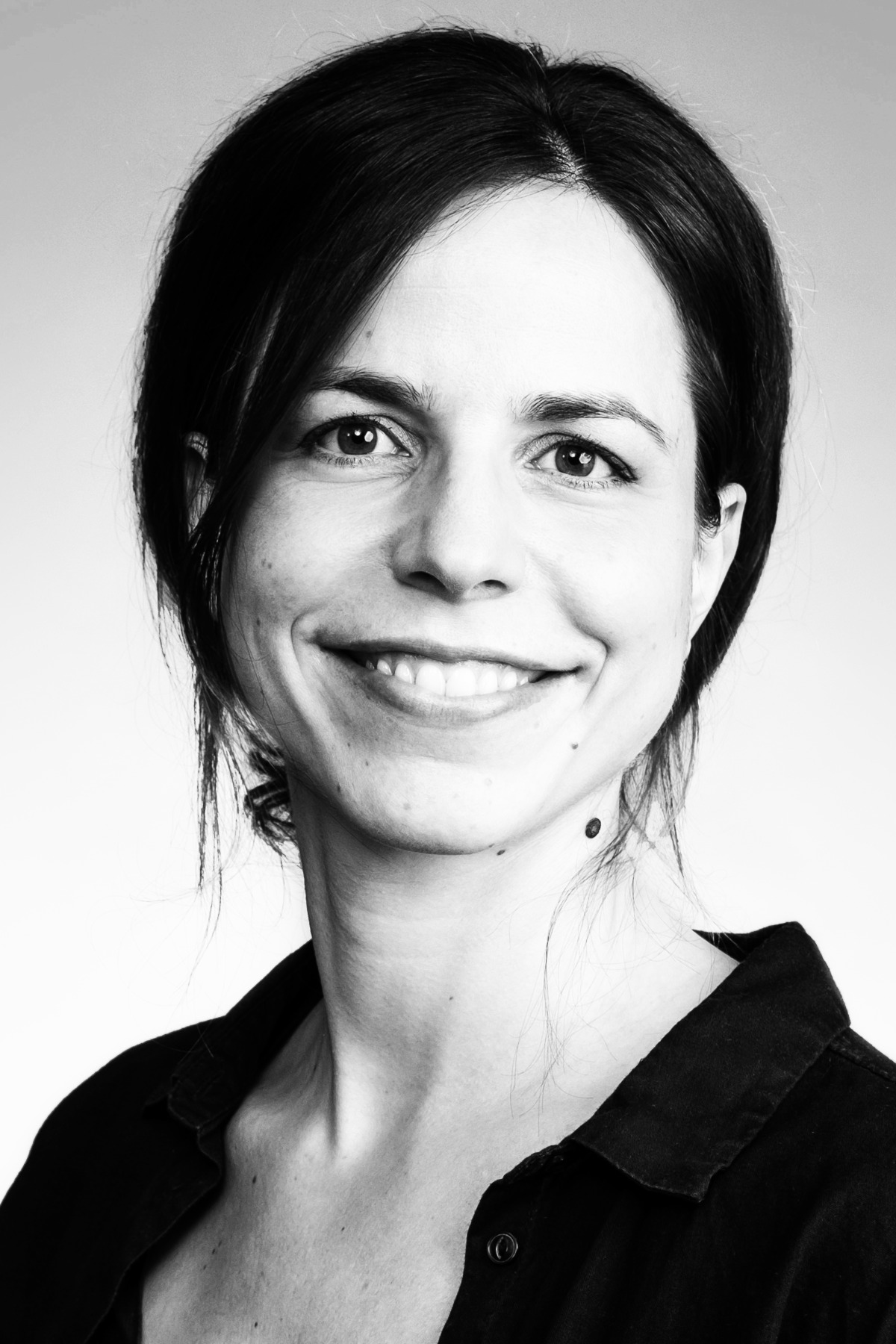 Solarintegration im Denkmalschutz - Deutsche BauZeitschrift – die ...