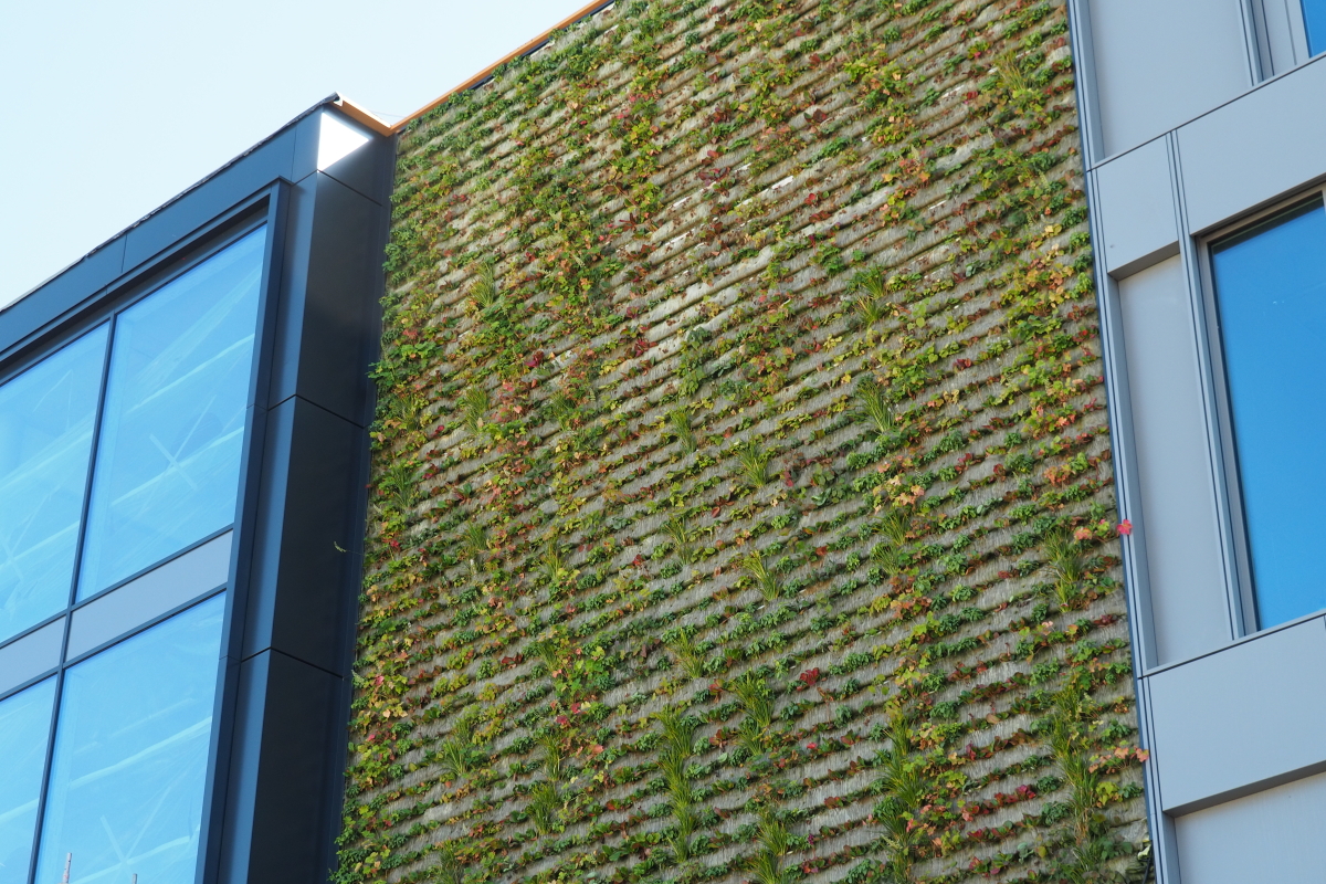 Grüne Fassaden unter Strom - Deutsche BauZeitschrift – die ...